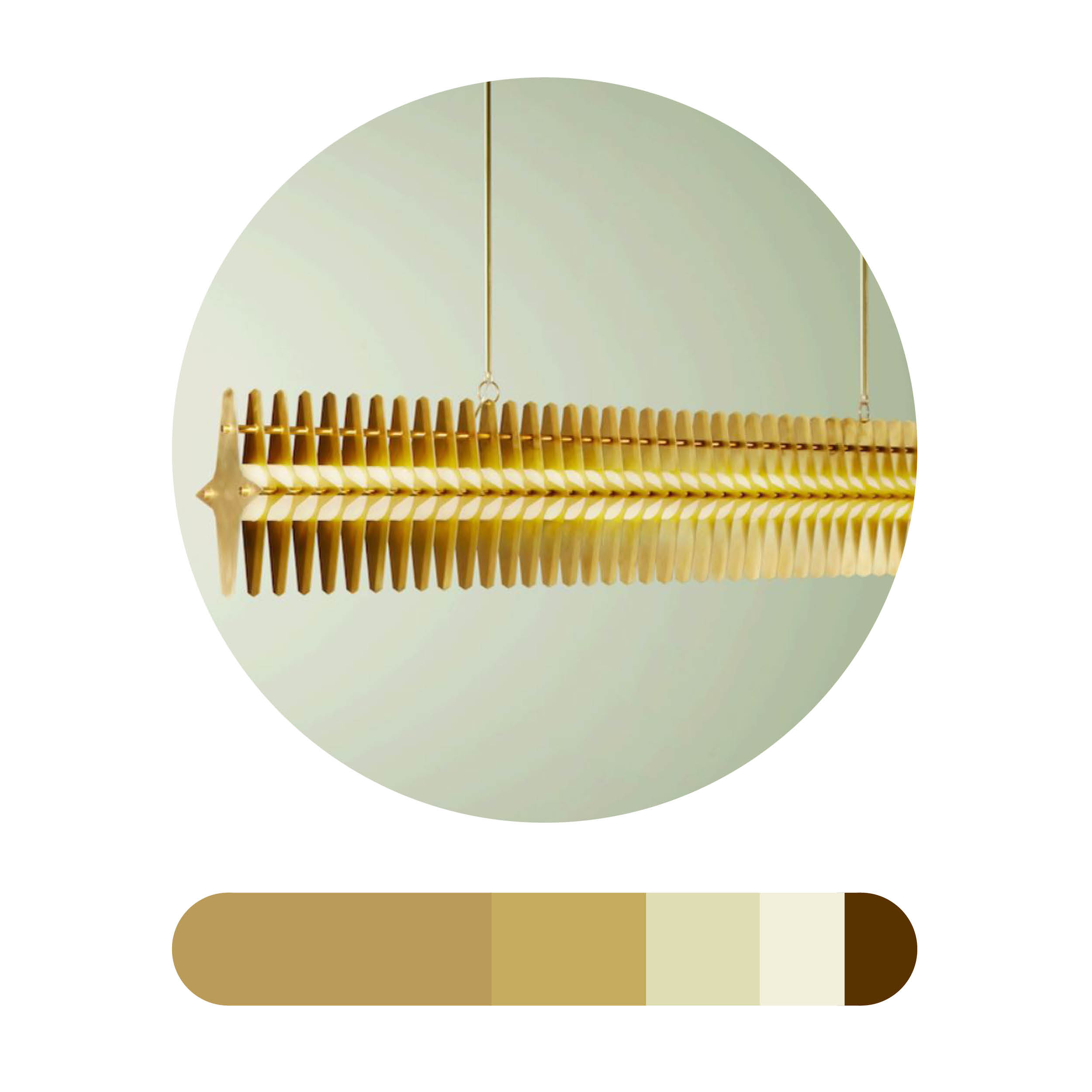 Colossal Pendant - Light By Color